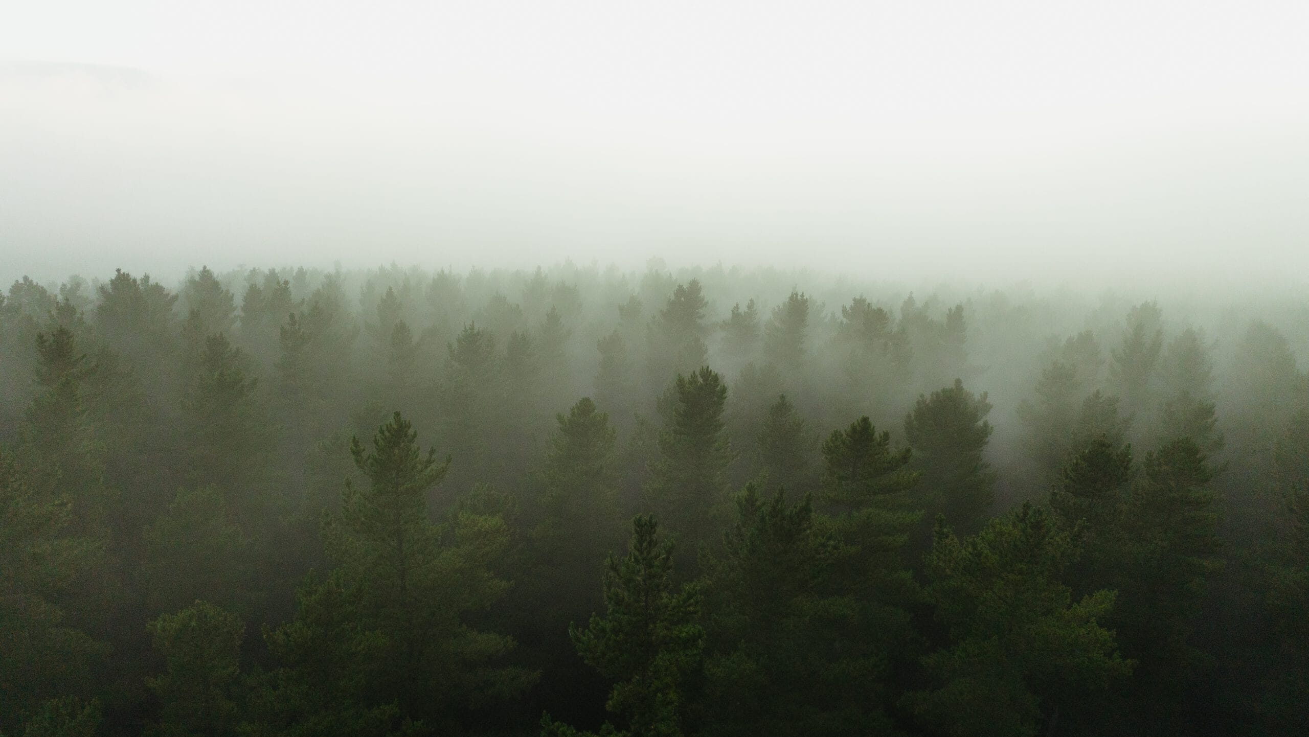 CABN’s New Off-Grid Cabins in SA’s Kuitpo Forest